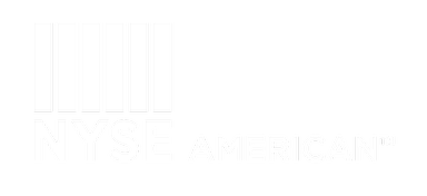 Mega Matrix Inc. (NYSE American: MPU)